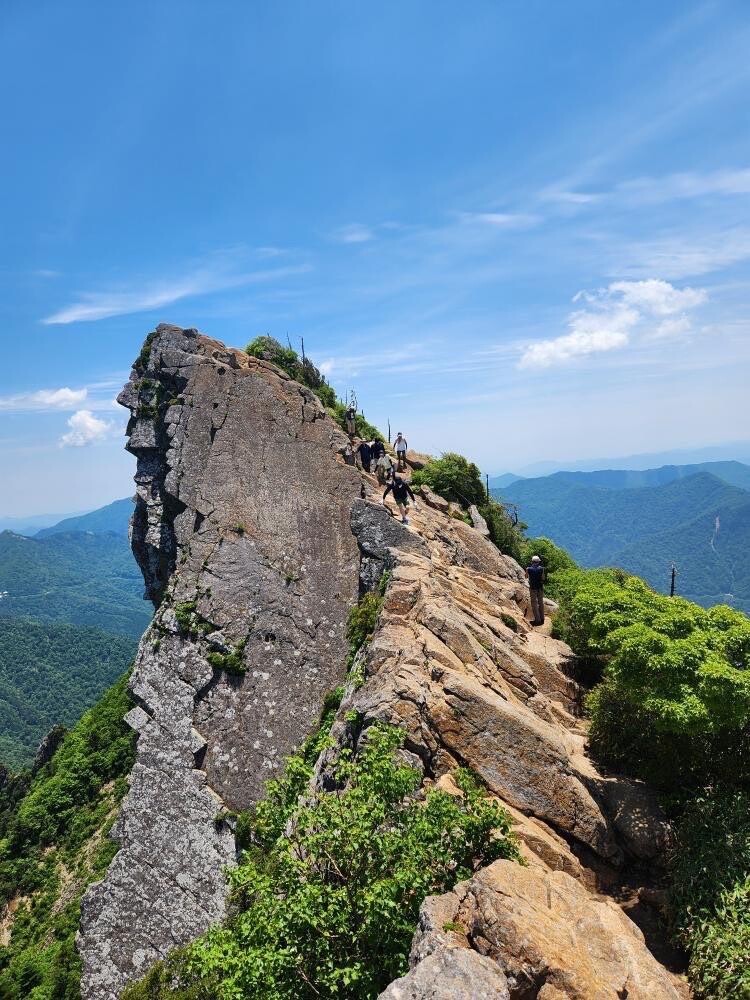 仲間を引率して天狗岳を2度登頂！ / RIckさんの石鎚山・堂ヶ森・二ノ森の活動データ | YAMAP / ヤマップ
