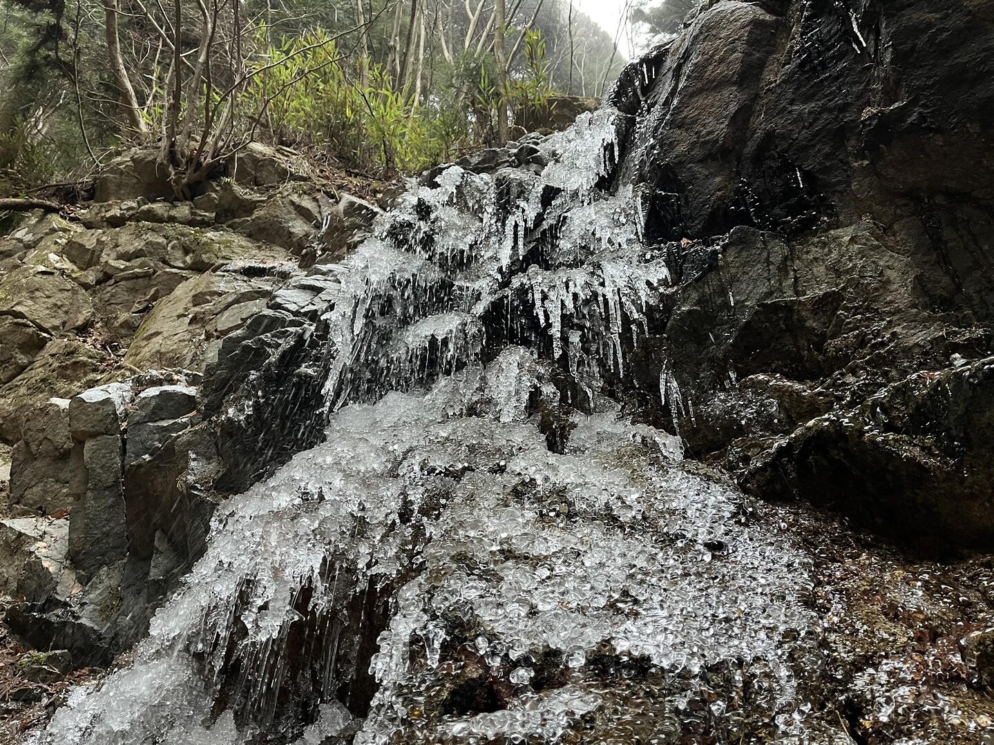 金剛山・葛木岳 / yomshtさんの金剛山・二上山・大和葛城山の活動データ | YAMAP / ヤマップ