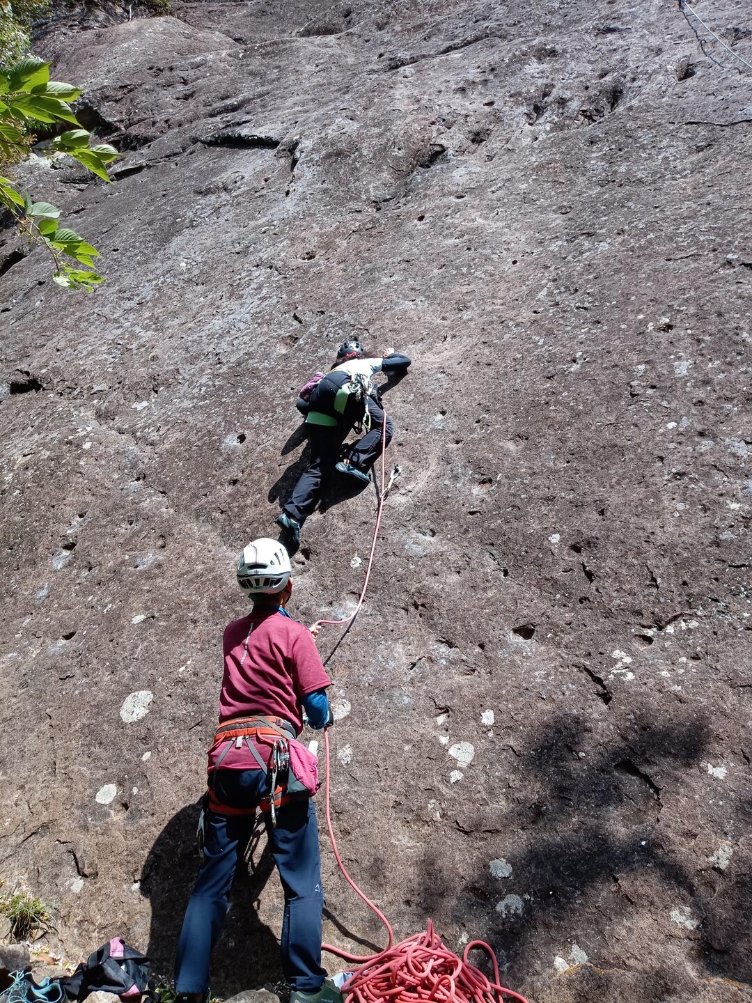 城山クライミング / aya-koさんの金冠山・達磨山・葛城山の活動データ | YAMAP / ヤマップ