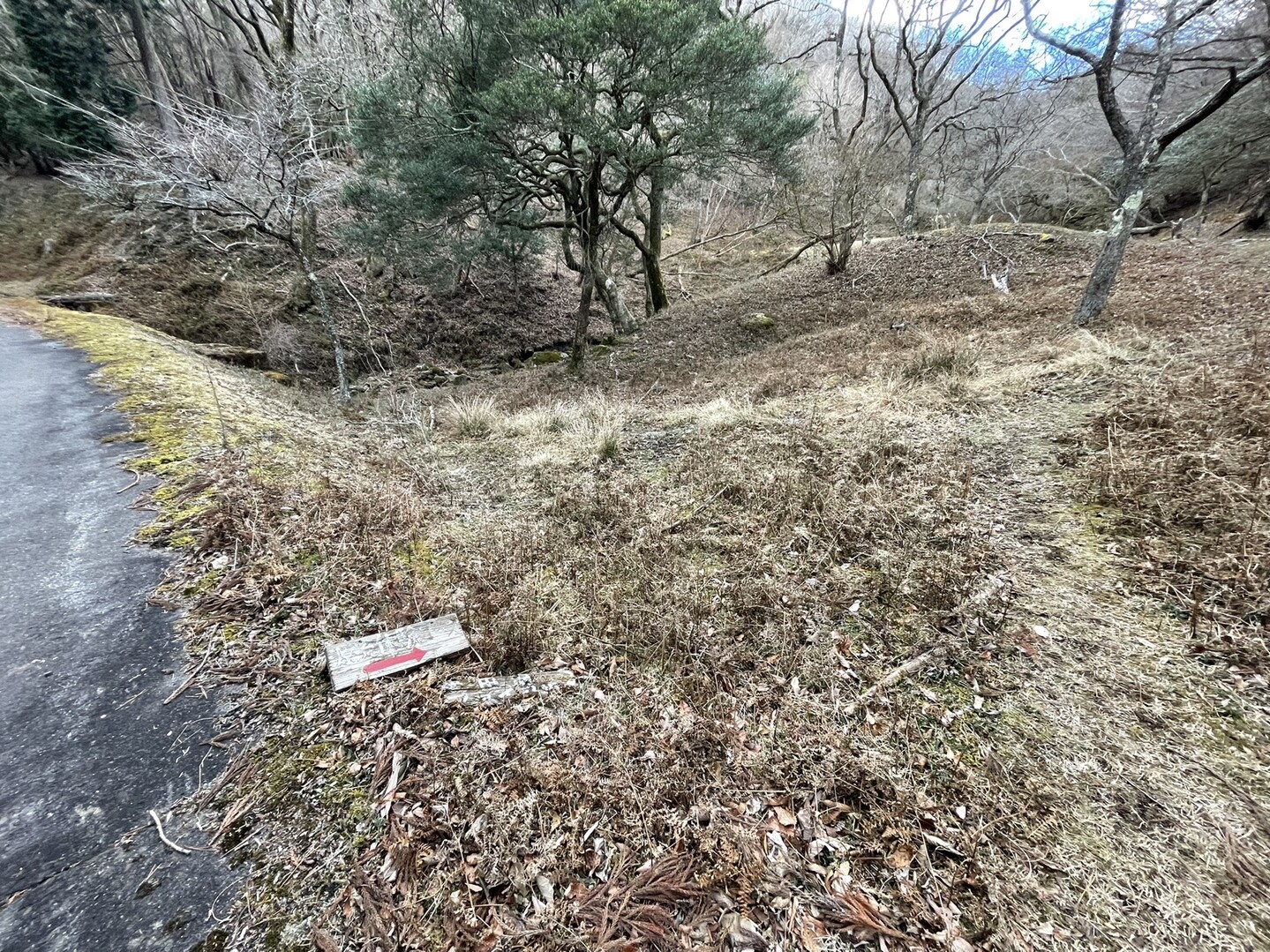 podoryさんの投稿したフィールドメモ | YAMAP / ヤマップ