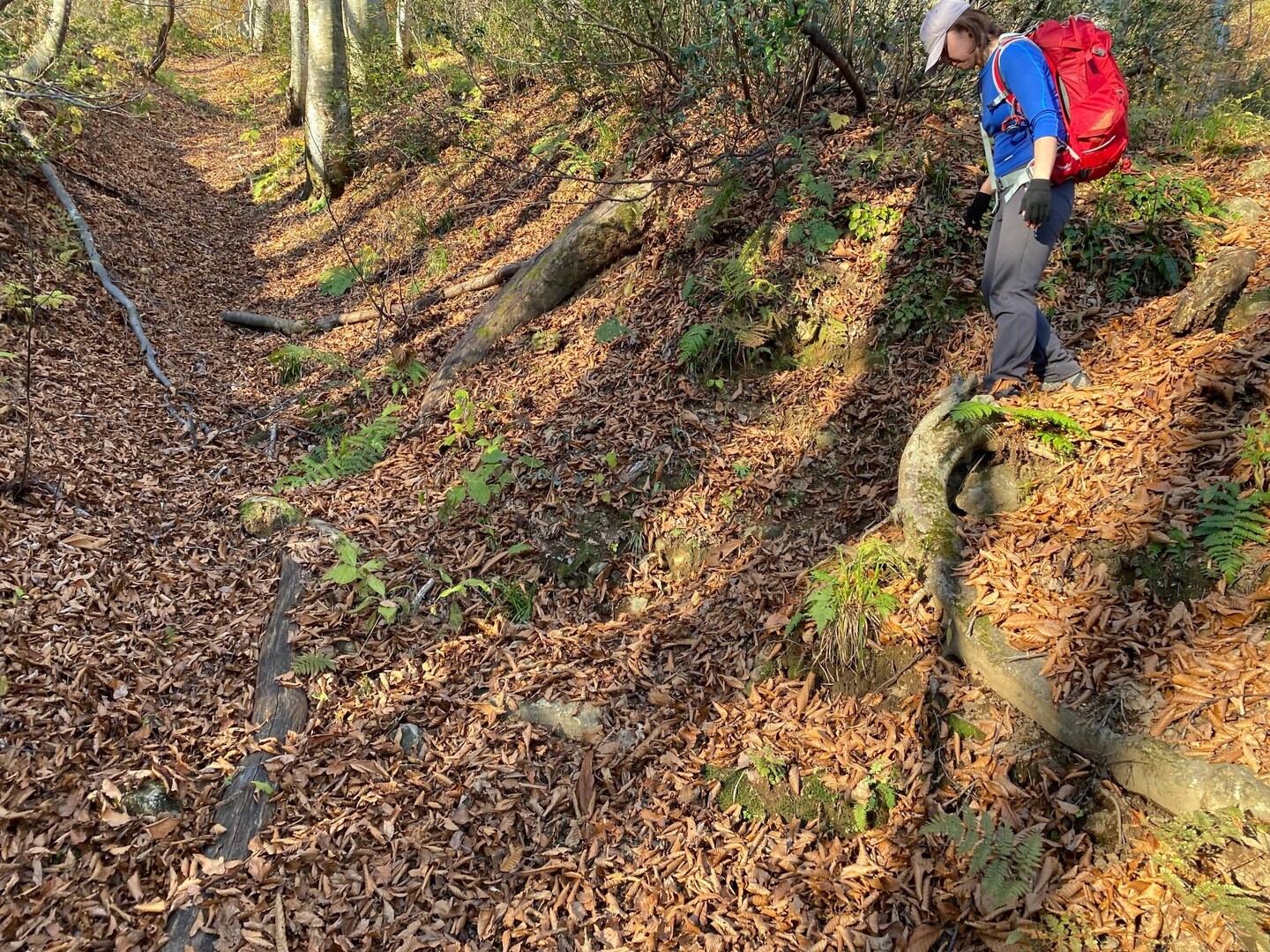 冬枯れの守門岳 大白川(旧入広瀬村)より / mtakoさんの守門岳・大岳・網張山の活動データ | YAMAP / ヤマップ