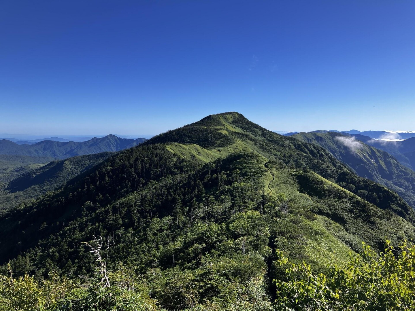 岩菅山・裏岩菅山 / 727Kさんの岩菅山・寺小屋峰の活動データ | YAMAP / ヤマップ
