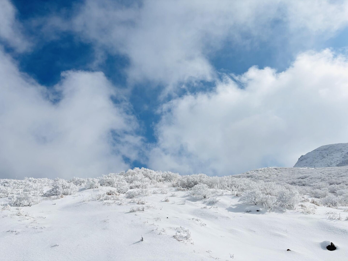 初めてのくじゅう雪山は大寒波到来😆 / chikaさんの九重山（久住山）・大船山・星生山の活動データ | YAMAP / ヤマップ
