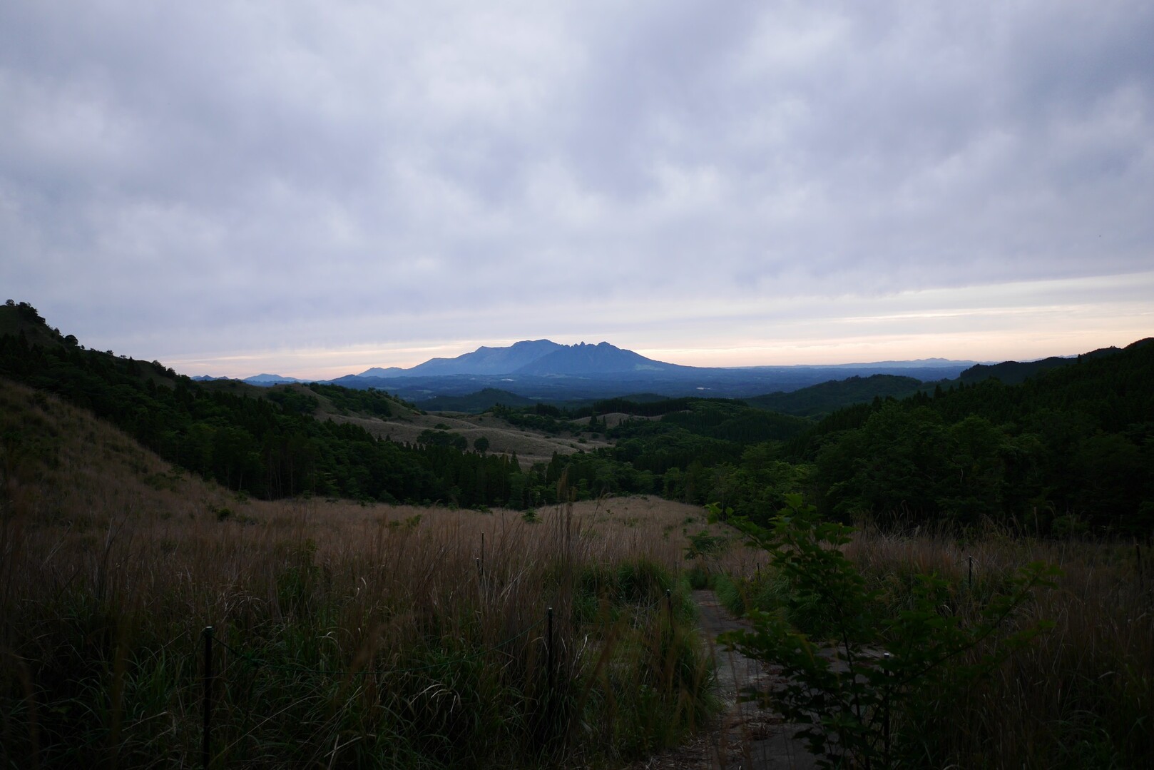 祖母山 / yshrtrdさんの祖母山の活動データ | YAMAP / ヤマップ