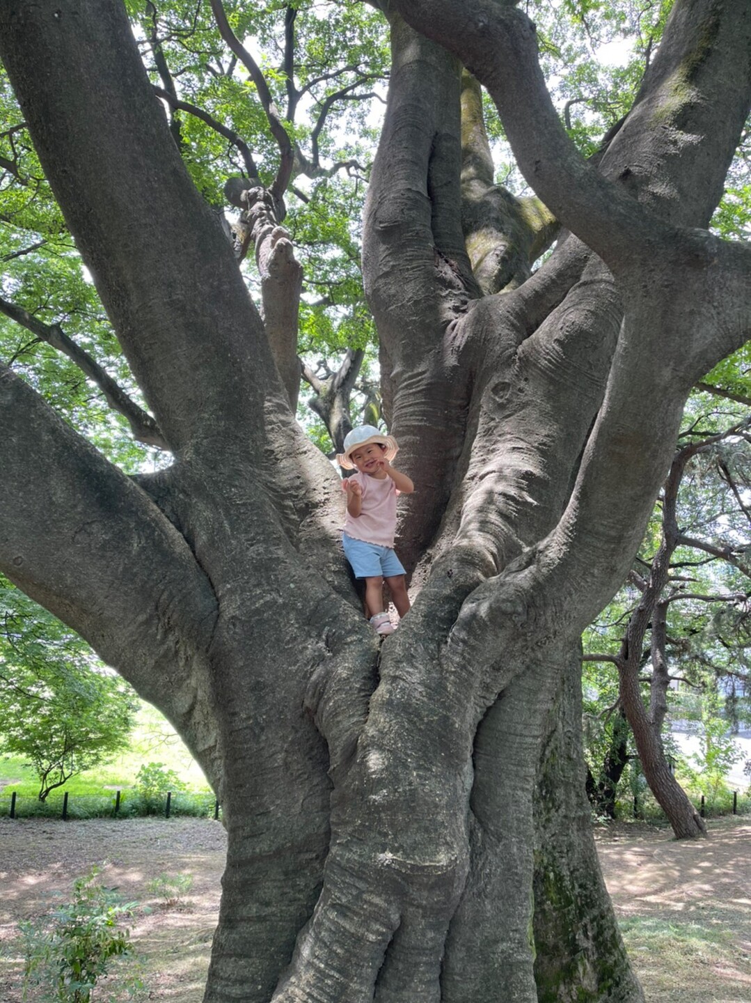 ばぁばは、もうすぐお姉ちゃんなる2歳児を... / Berryさんのモーメント | YAMAP / ヤマップ