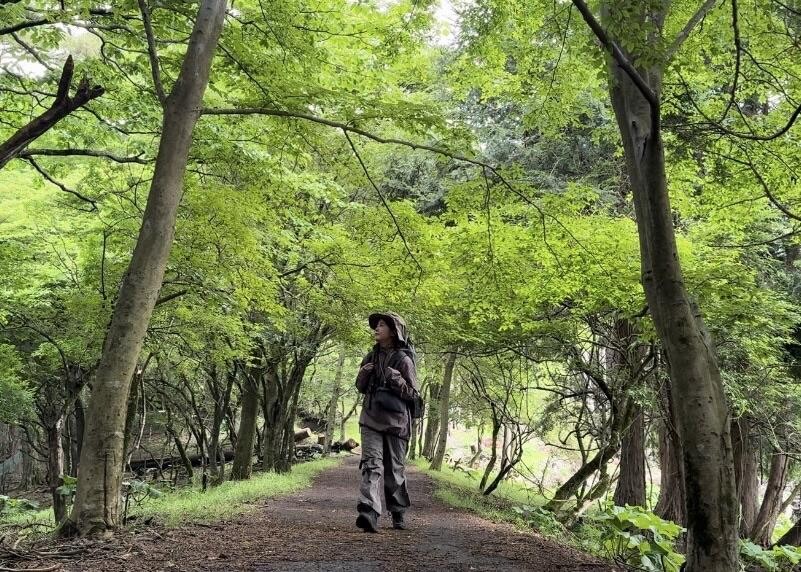 【大山】ヤビツ峠〜大山〜阿夫利神社 / Ichikaさんの大山の活動データ | YAMAP / ヤマップ