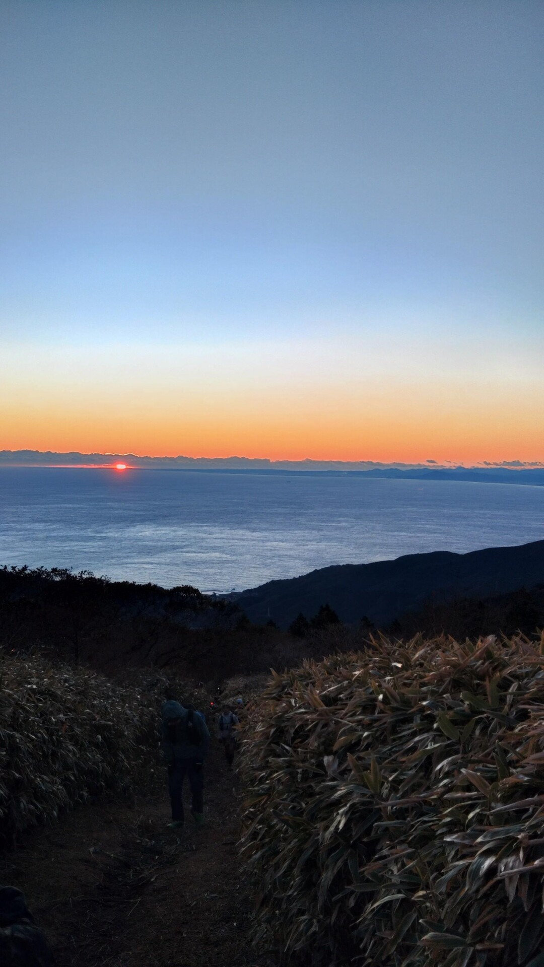 ITJ(伊豆トレイルジャーニー)2024.12.08 / 山羊さんさんの棚場山・魂の山・猫越岳の活動データ | YAMAP / ヤマップ