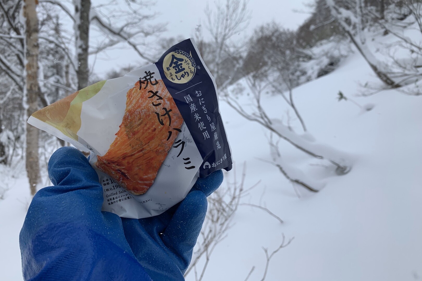 19/20#3 また春香山なのだ / bono.さんの春香山・銭函峠・銭函天狗山の活動データ | YAMAP / ヤマップ