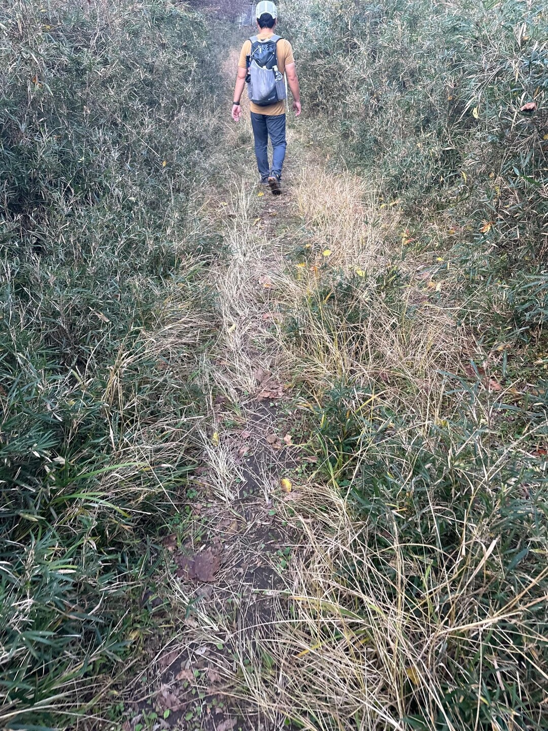 meoto tripperさんの投稿したフィールドメモ | YAMAP / ヤマップ