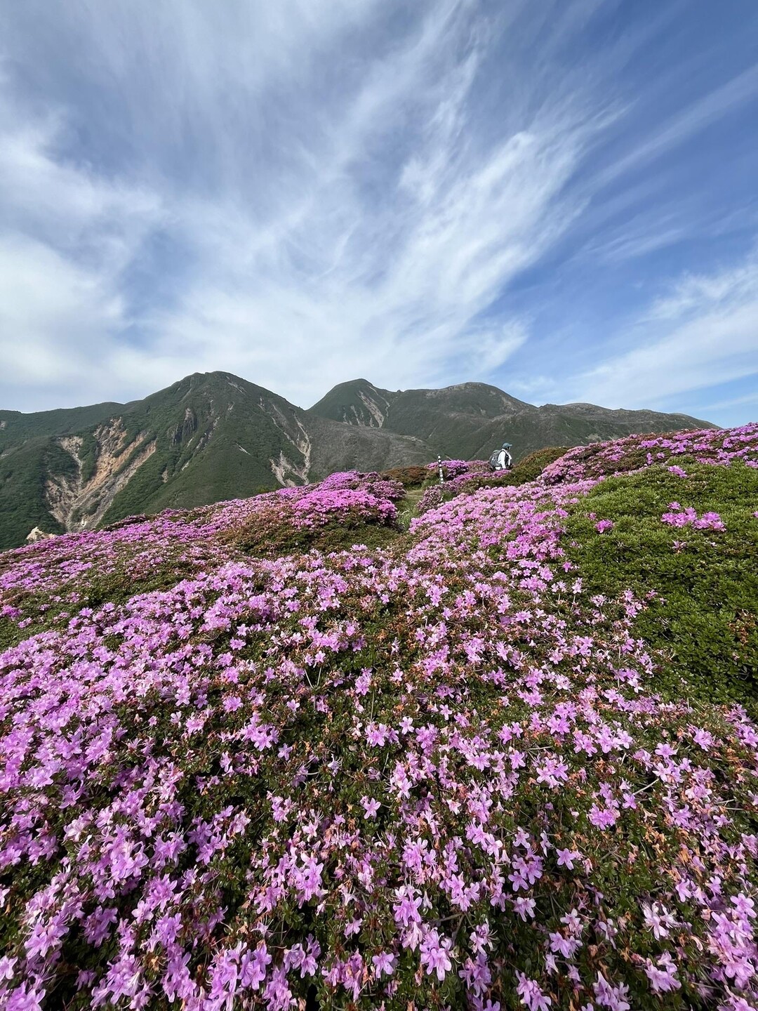 大分 くじゅう【立中山】Day2／2 / スカイウォーカーさんの九重山（久住山）・大船山・星生山の活動データ | YAMAP / ヤマップ