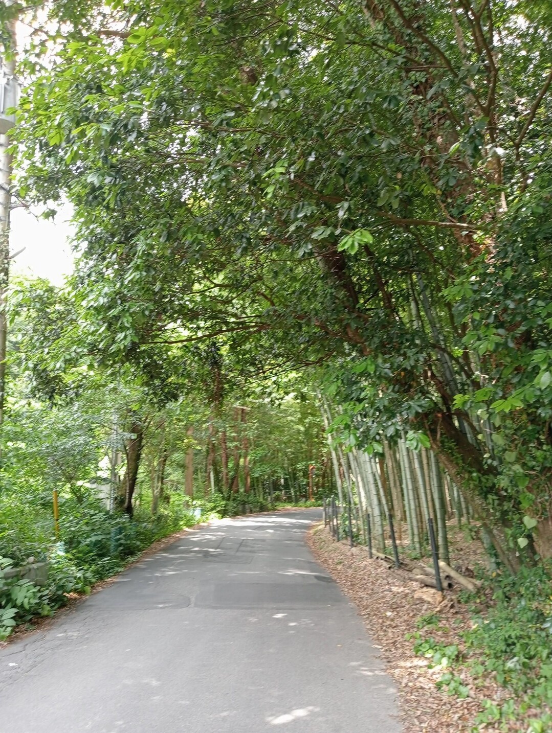 HELLO CYCLING（シェアサイク... / Yumikoさんのモーメント | YAMAP / ヤマップ