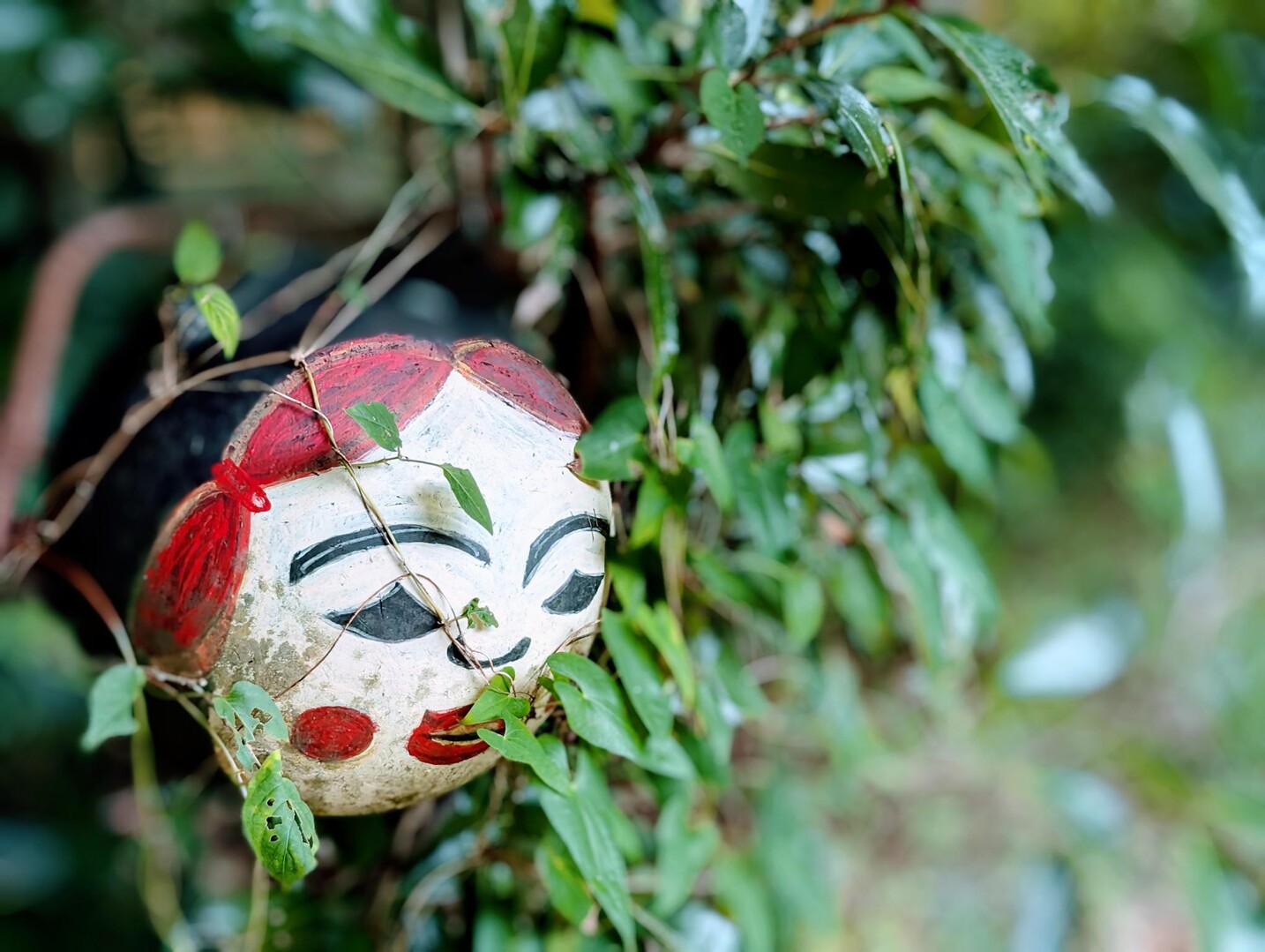 夜明ヶ城 / H.Lily(花ちゃん)さんの九六位山の活動データ | YAMAP / ヤマップ