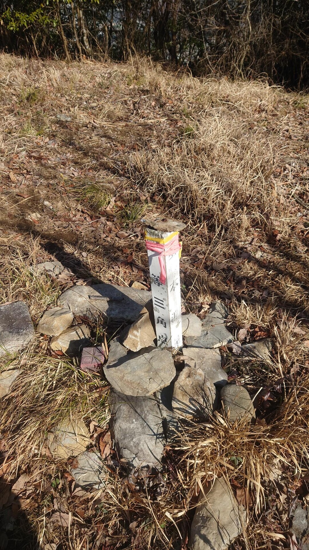 blackmoreさんの投稿したフィールドメモ | YAMAP / ヤマップ