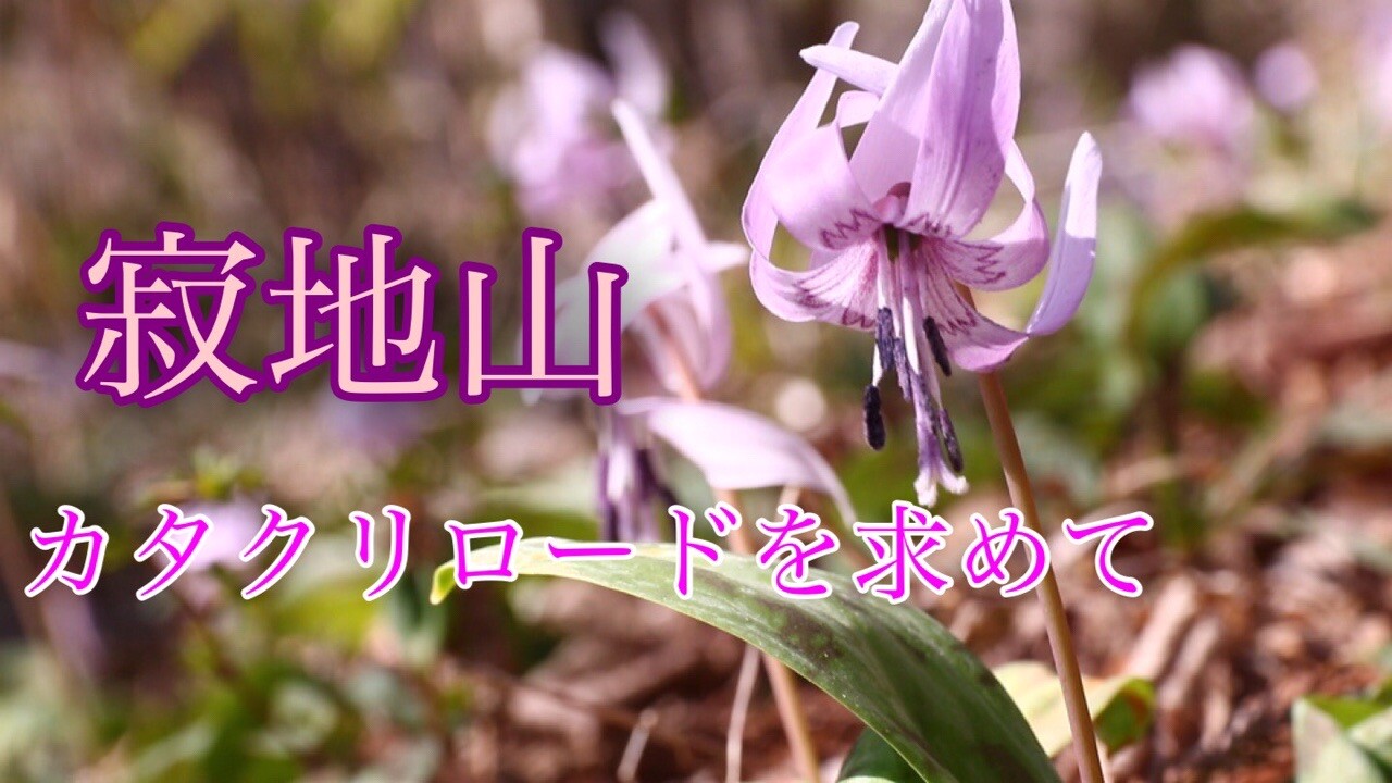 先週の寂地山の動画yotubeチャンネル... / yo-jiさんのモーメント | YAMAP / ヤマップ