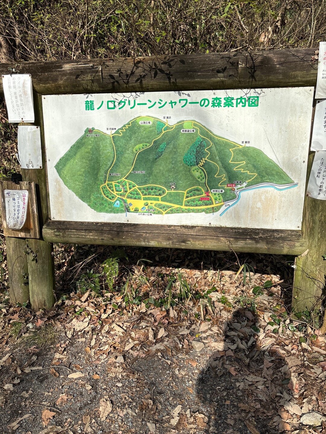 龍ノ口山-2024-02-12 / TTさんの龍ノ口山の活動データ | YAMAP / ヤマップ