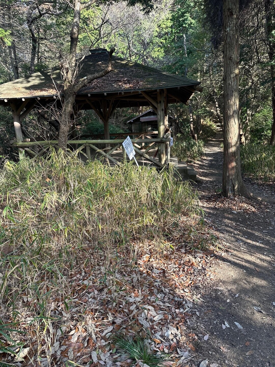 Jangers ジャンガースさんの投稿したフィールドメモ | YAMAP / ヤマップ