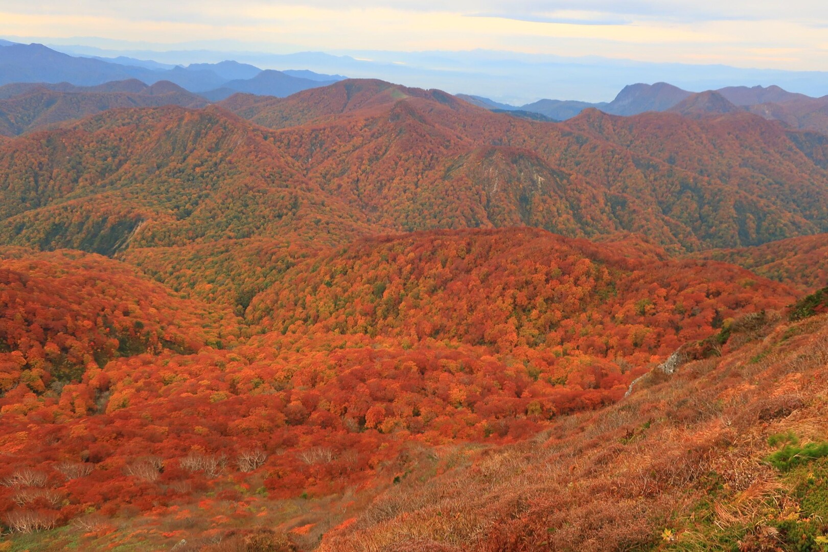 🍁船形山は真っ赤に燃え尽きる感じ🍁 ... / shantiさんのモーメント | YAMAP / ヤマップ