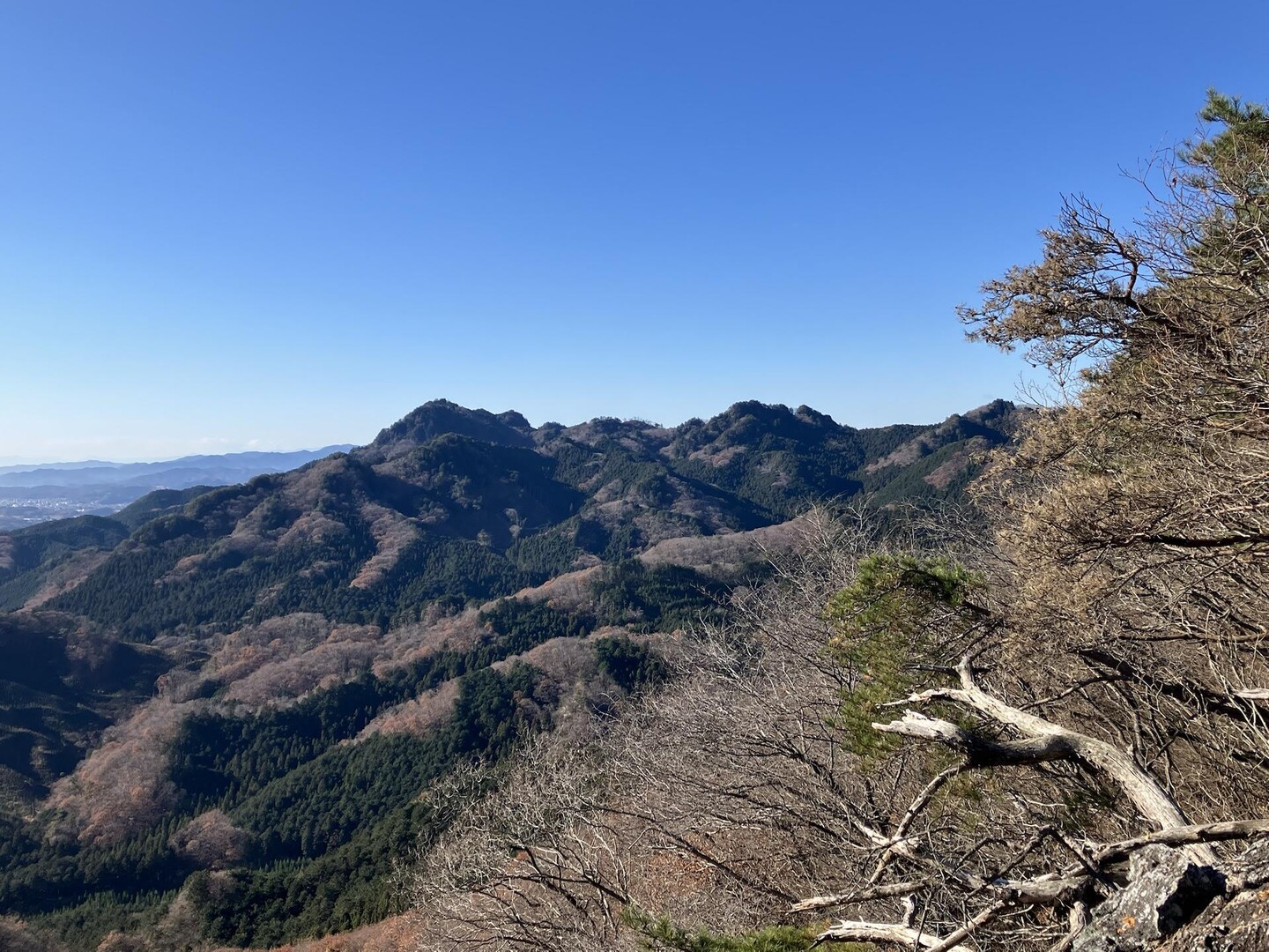古賀志山 黒川コース復帰戦は転びまくり😭 / ZSYさんの古賀志山・赤岩山・鞍掛山・男抱山・半蔵山の活動データ | YAMAP / ヤマップ