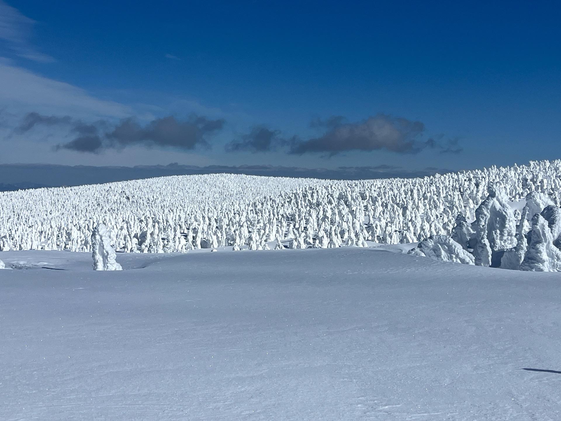 藤助森・八幡平 / sajunさんの八幡平・源太森・安比岳の活動データ | YAMAP / ヤマップ