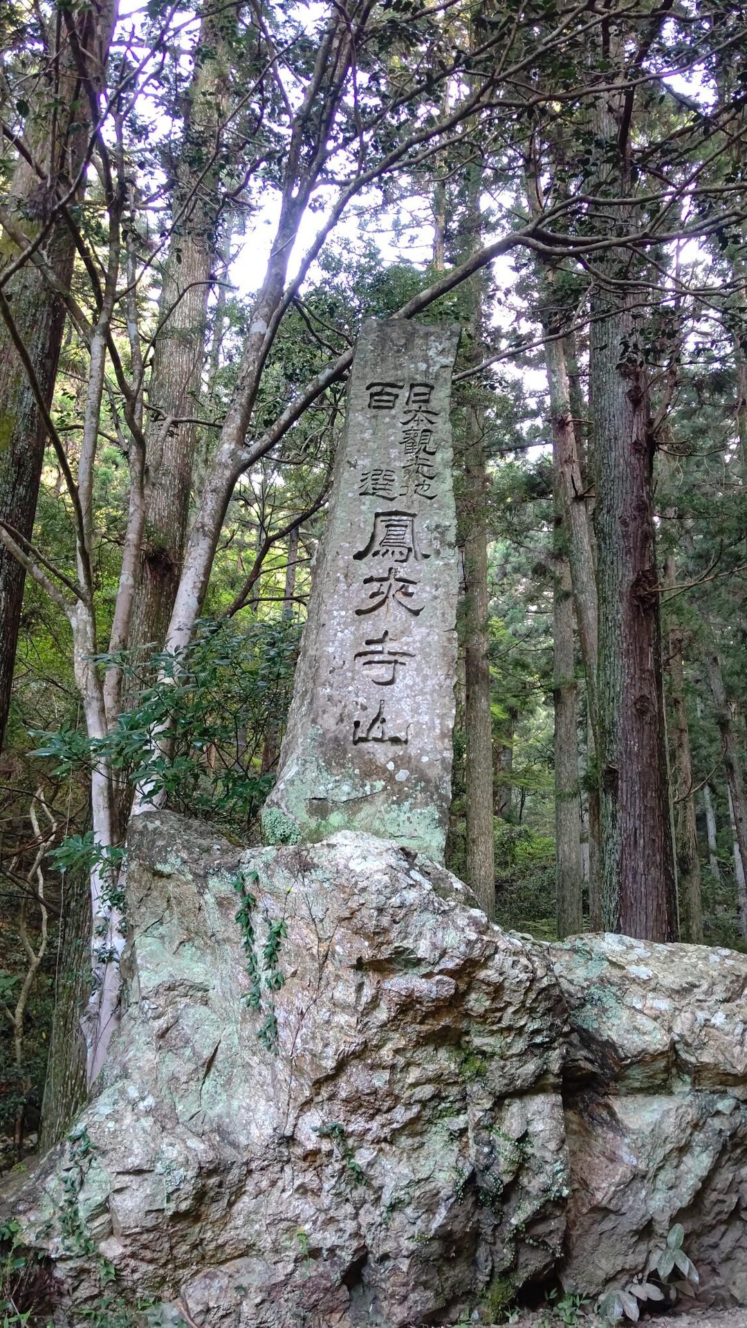 初の鳳来寺山7.6kmコース🌿 / 🌊Hide🌊さんの宇連山・鳳来寺山・岩古谷山の活動データ | YAMAP / ヤマップ
