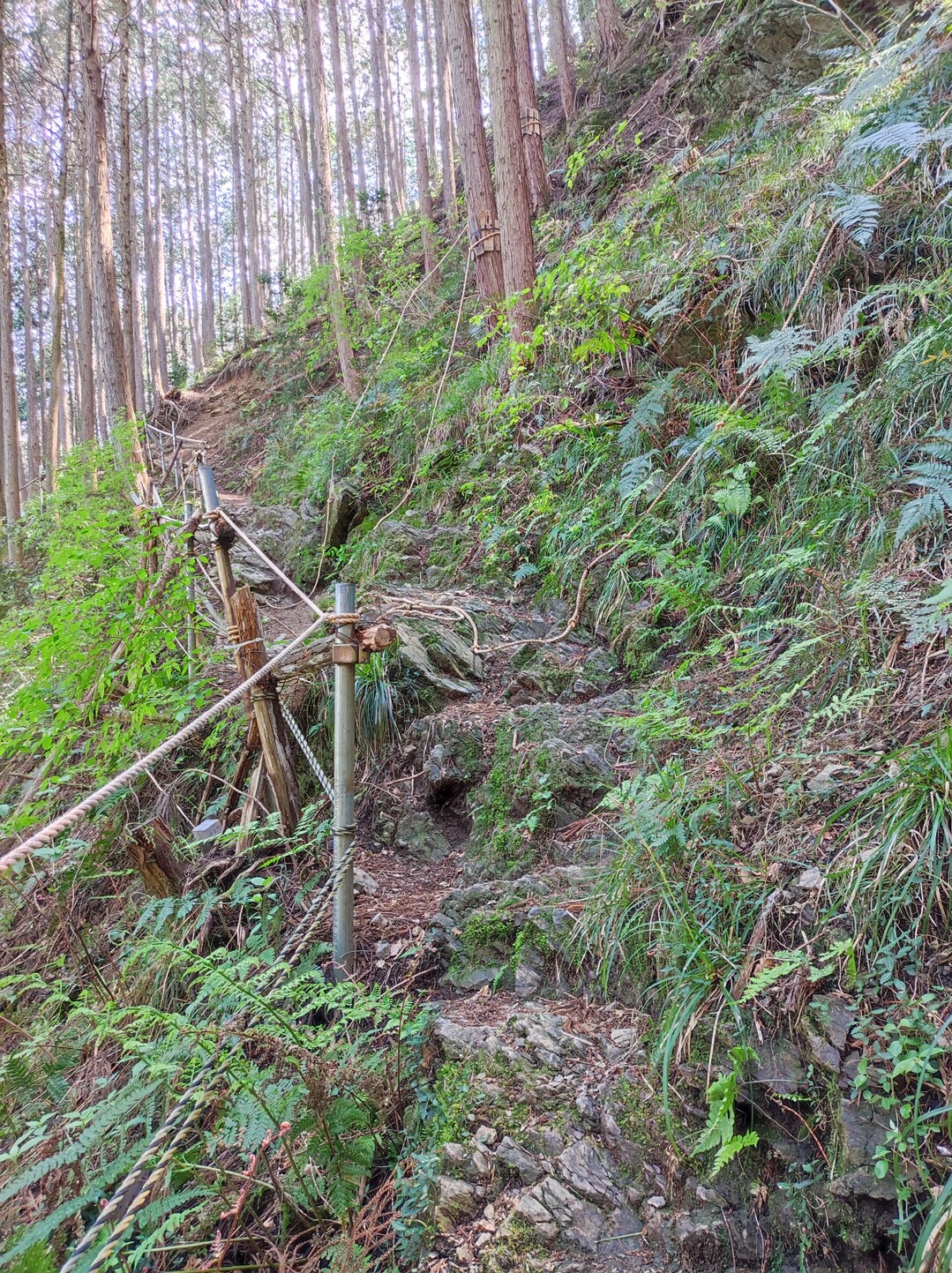 mappyさんの投稿したフィールドメモ | YAMAP / ヤマップ