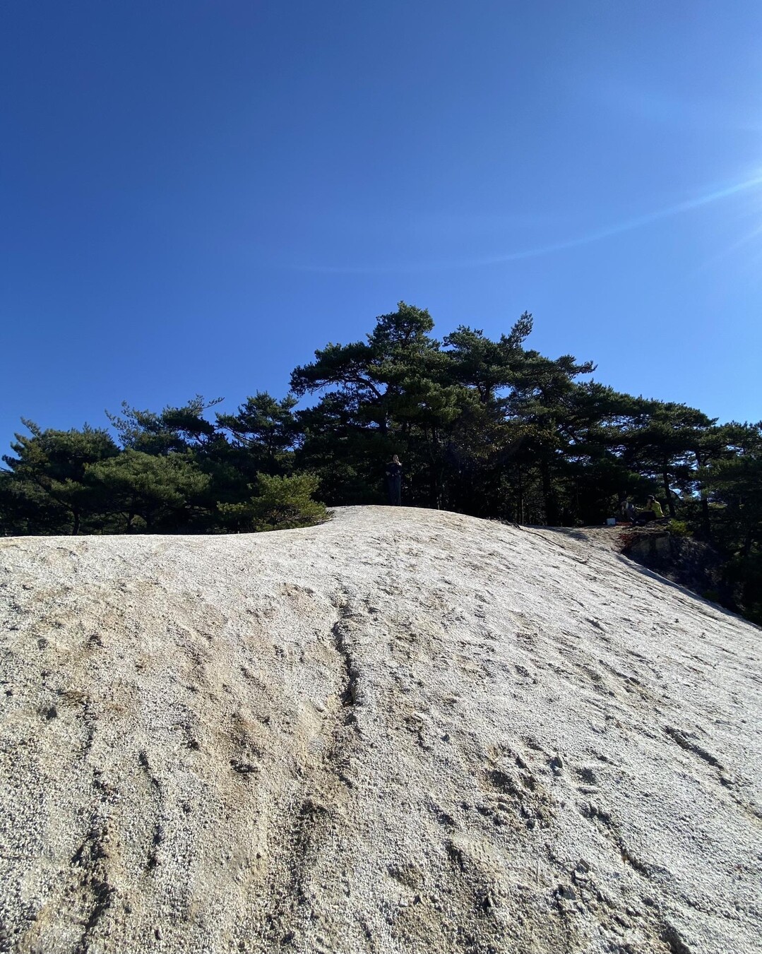 鷹の巣山・白砂山・弥三郎岳（羅漢寺山）・覚円峯 / なちさんの弥三郎岳（羅漢寺山）の活動データ | YAMAP / ヤマップ