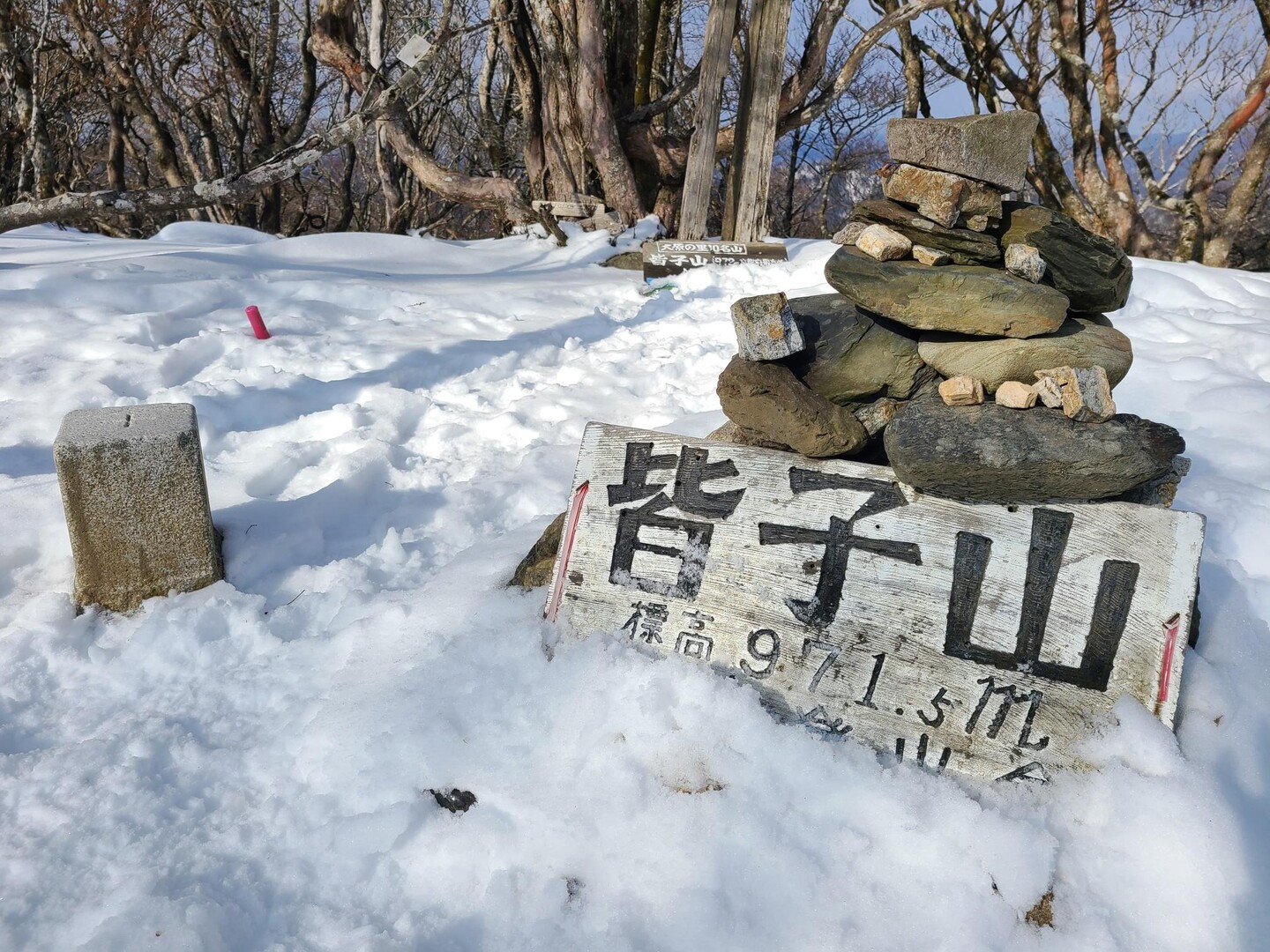 皆子山 / tmmさんの比良山地・武奈ヶ岳・釈迦岳の活動データ | YAMAP / ヤマップ