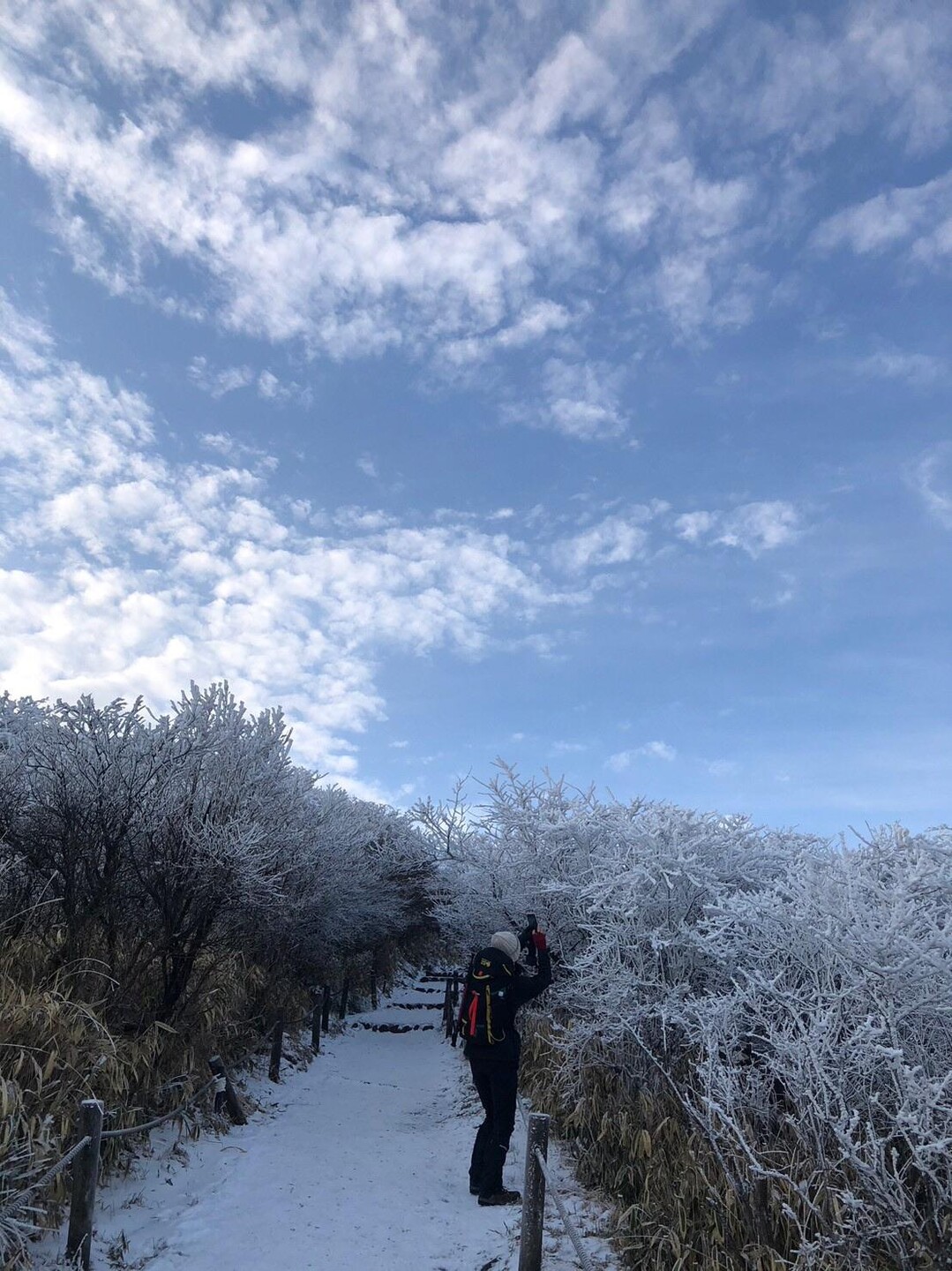 沓掛山・中岳 / ryokoさんの九重山（久住山）・大船山・星生山の活動データ | YAMAP / ヤマップ