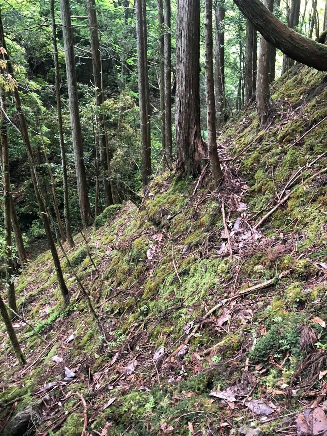 ※過去の山行記録です。 R4 5月23... / オオイシさんのモーメント | YAMAP / ヤマップ