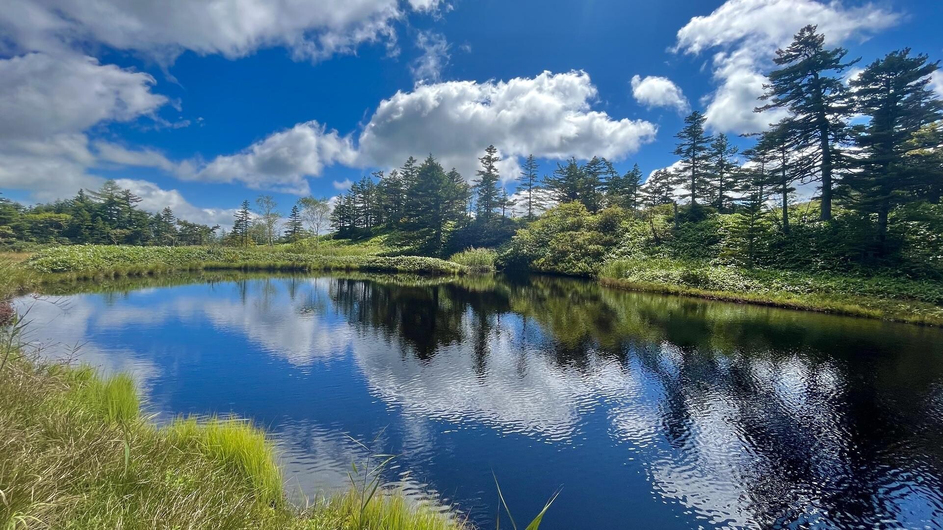 横手山〜芳ヶ平 / isoさんの横手山・志賀山・赤石山の活動日記 | YAMAP / ヤマップ