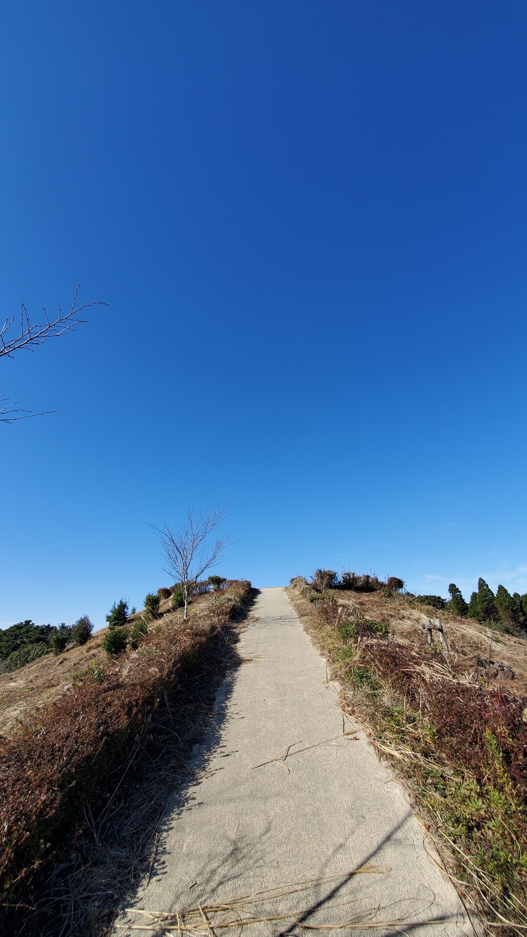ツーリングPH登山 日岳・大野岳・徳連岳・女山(船山) / hirobonさんの唐津市（唐津エリア）の活動データ | YAMAP / ヤマップ