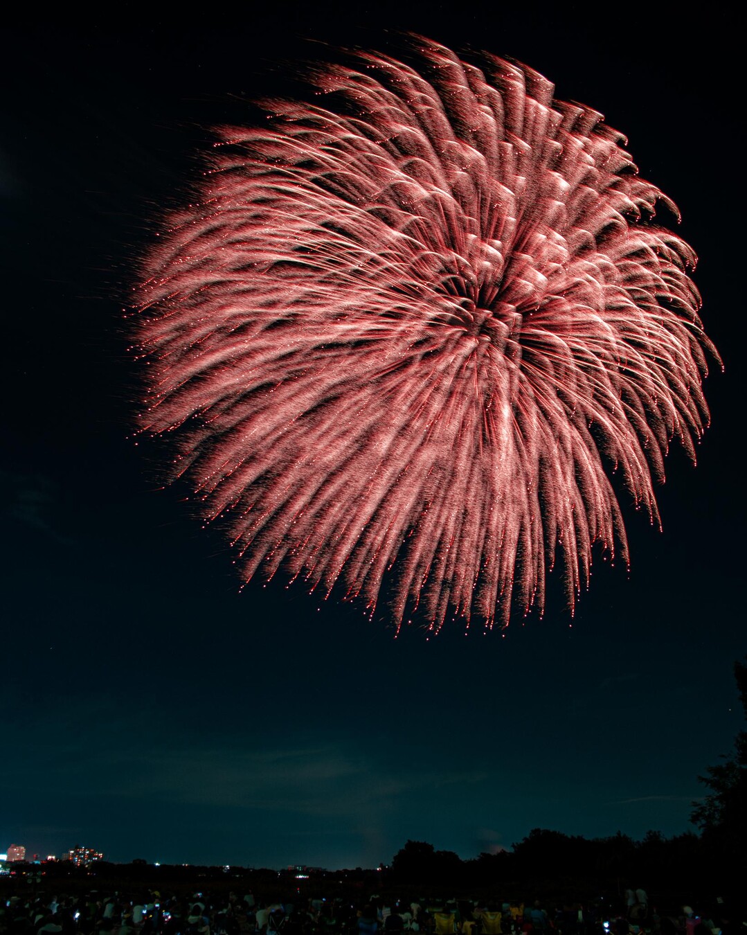 夜空に大輪。 一輪の花火も美しい。 8... / stripeさんのモーメント | YAMAP / ヤマップ