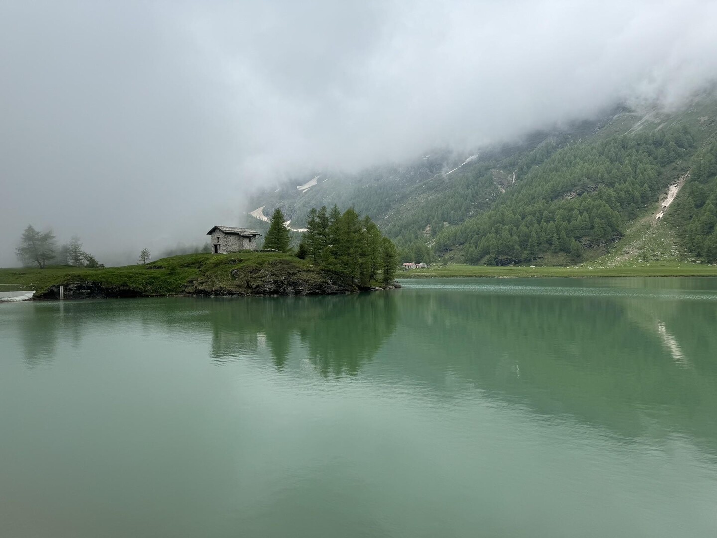 Alp Grum - 2024-06-14 / coronorocさんのウォーキングの活動日記 | YAMAP / ヤマップ