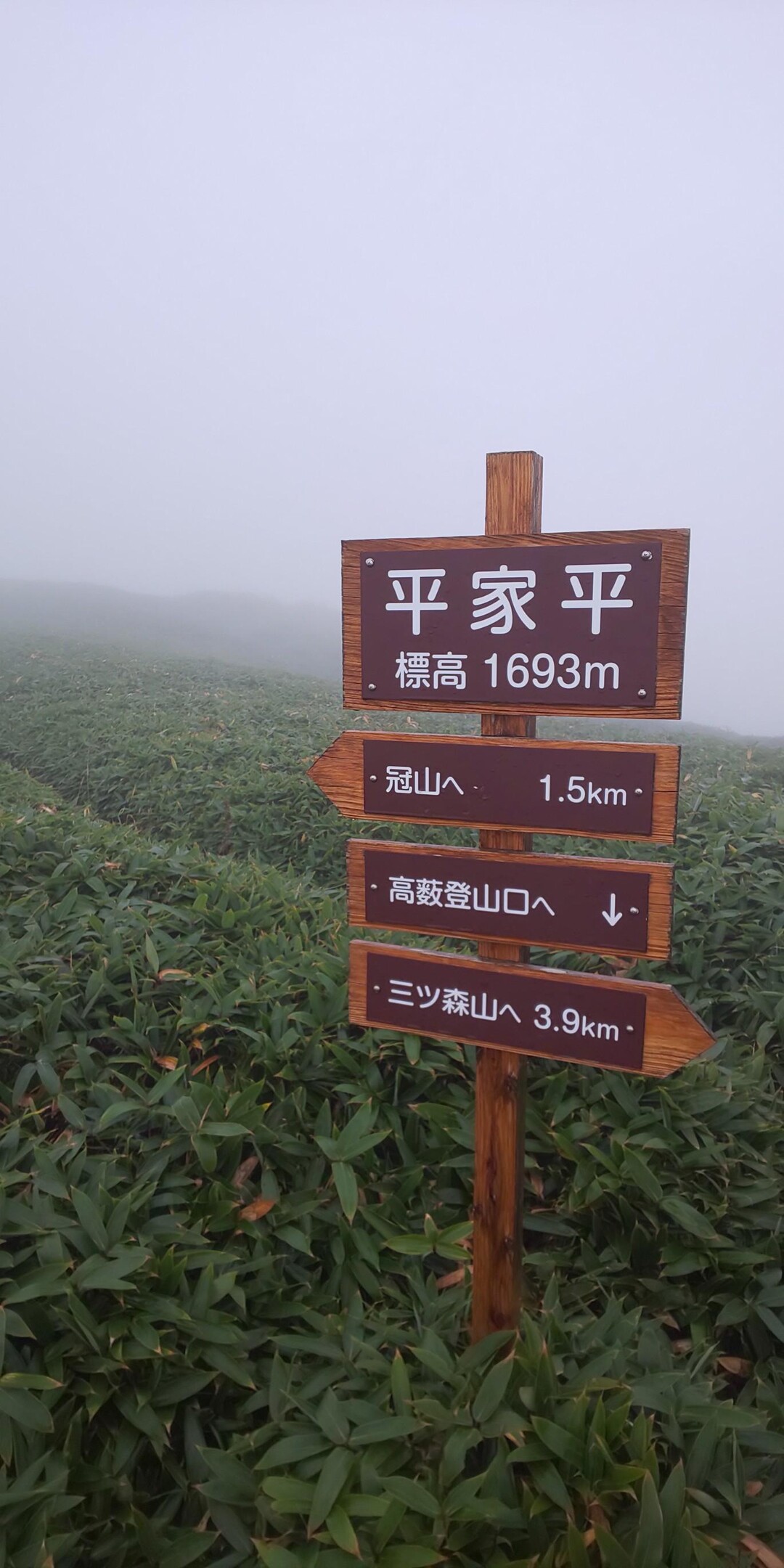 戦慄🤪⁉️最恐の平家平（🌄G3）なのか🖐️ / 肉球モフモフたんけんたい‼️さんの笹ヶ峰・寒風山・平家平の活動データ | YAMAP / ヤマップ