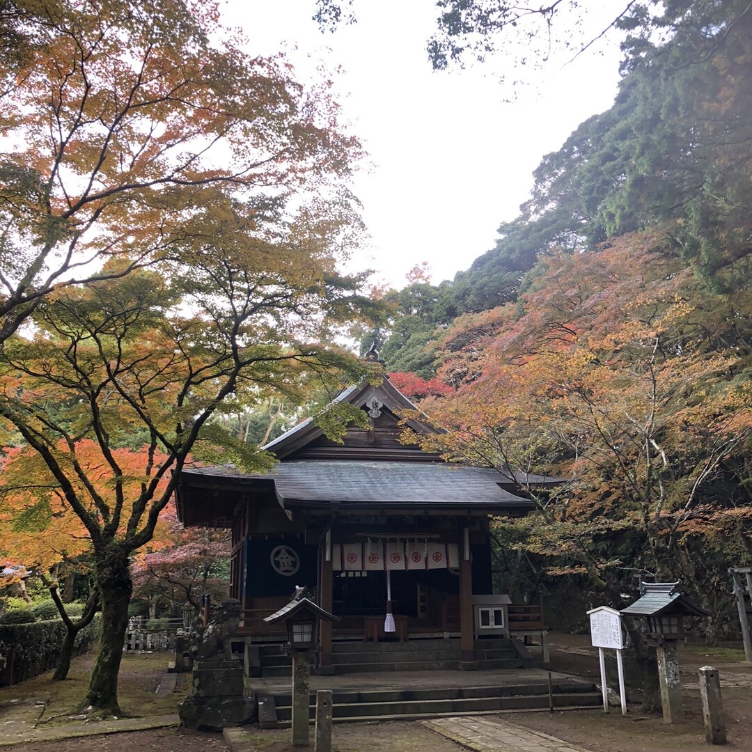 金乃比羅神社周辺、色づいてます🍁 もっ... / Mimiさんのモーメント | YAMAP / ヤマップ