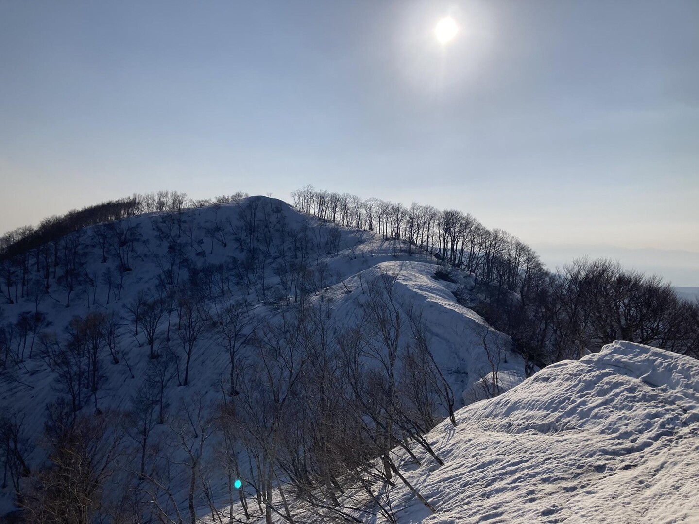 チョイと花立山(BC ski⛷ ) / SGtyutaさんの菱ヶ岳・三方岳・天水山・信越トレイル（関田峠・天水山）の活動データ | YAMAP / ヤマップ