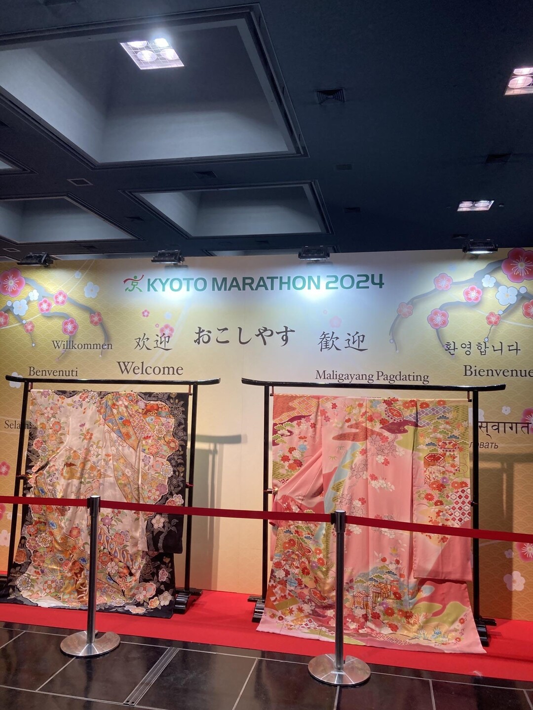 京都マラソン走って来ました！ PBは更新... / 豚丸さんのモーメント | YAMAP / ヤマップ