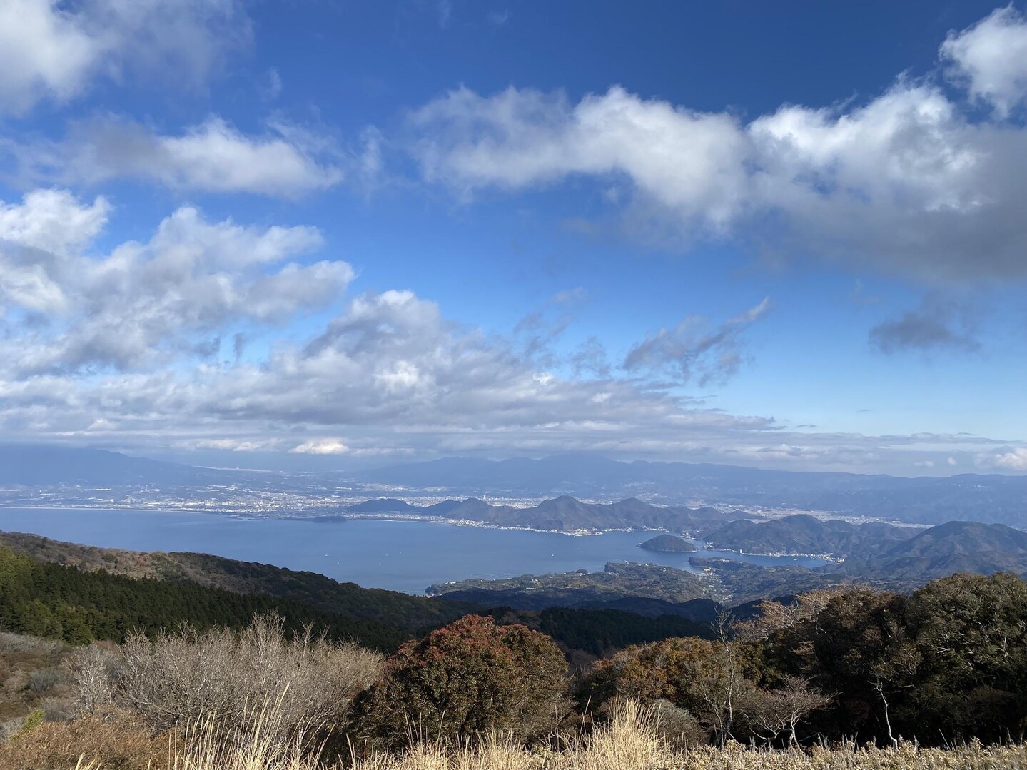 金冠山 / toruさんの金冠山・達磨山・葛城山の活動データ | YAMAP / ヤマップ