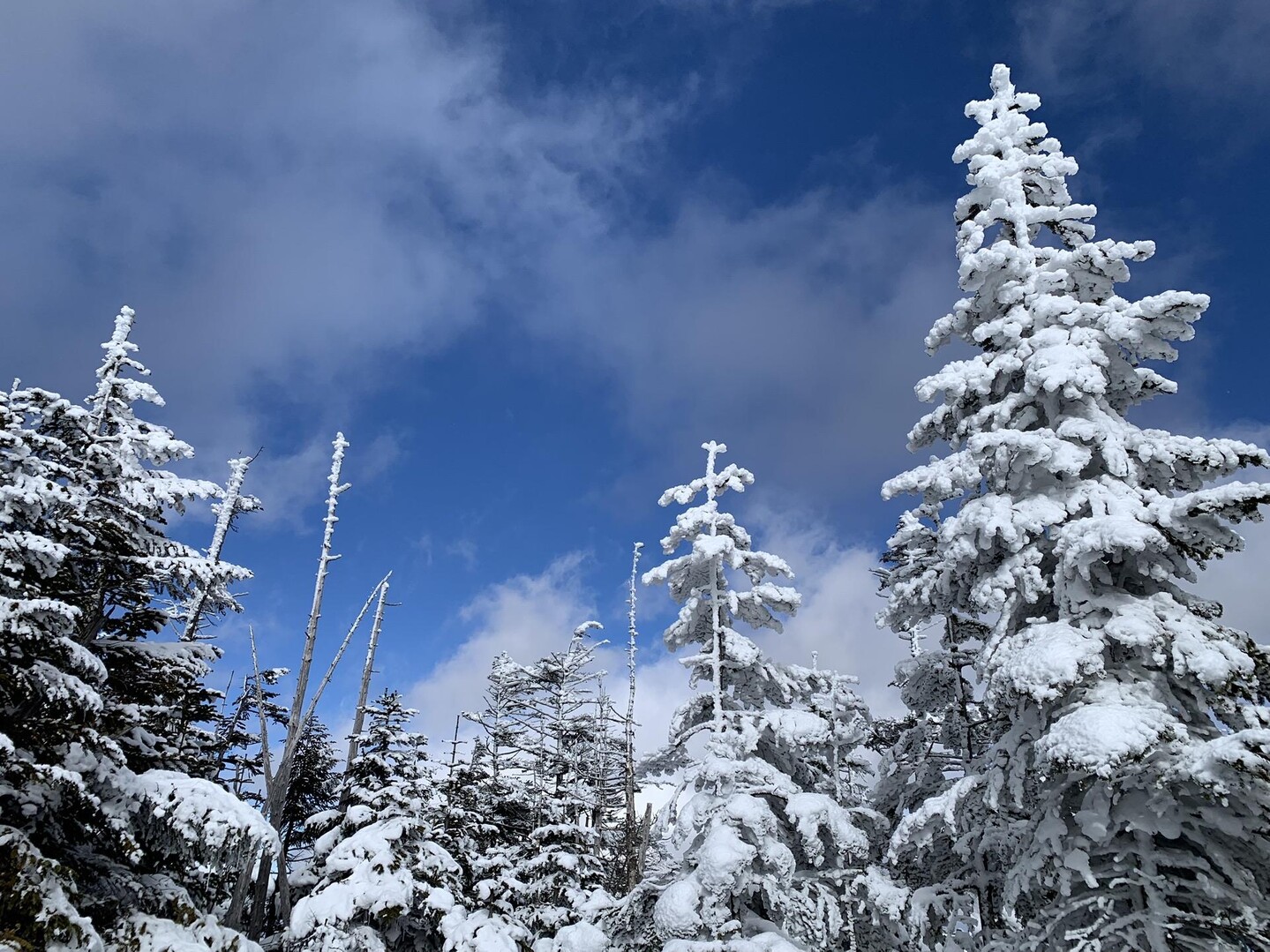 八ヶ岳の動画作ってみました。 写真集 北... / おーしゃさんのモーメント | YAMAP / ヤマップ