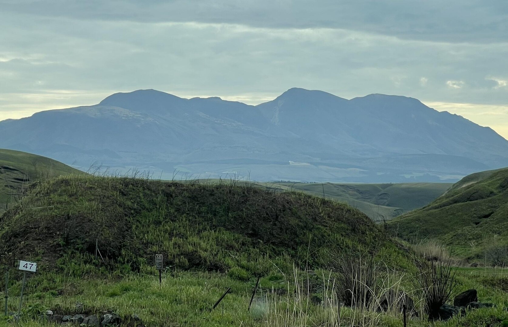 54/100 日本百名山 九重山（久住山） / Hakuさんの九重山（久住山）・大船山・星生山の活動データ | YAMAP / ヤマップ