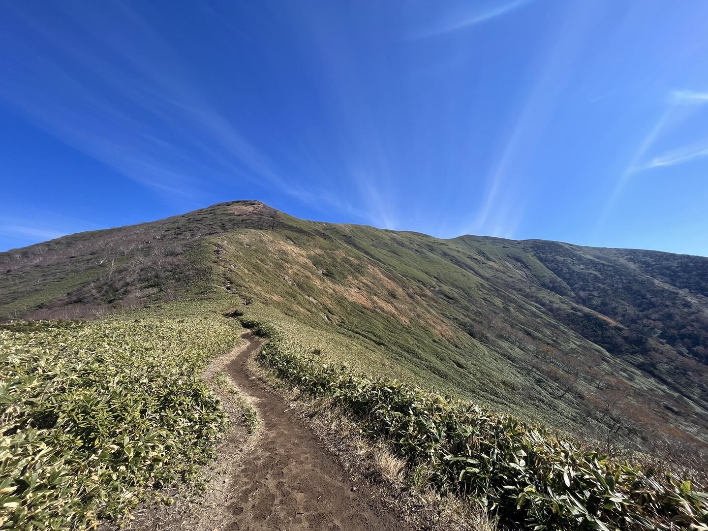 松手山・平標山 / Jimamanさんの仙ノ倉山・平標山・大源太山の活動データ | YAMAP / ヤマップ