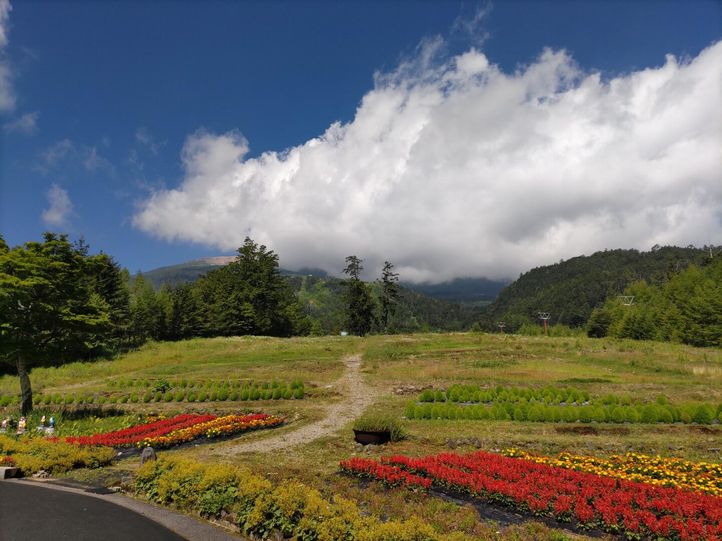 ガス時々雷鳥🐓🐣🐣🐣 御嶽山（剣ヶ峰） / coconut-yoyoさんの御嶽山・継子岳・摩利支天山の活動データ | YAMAP / ヤマップ