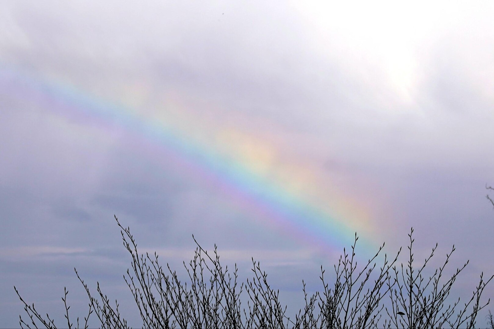 【虹が見えたよ】高尾山 / RNさんの高尾山・陣馬山・景信山の活動データ | YAMAP / ヤマップ