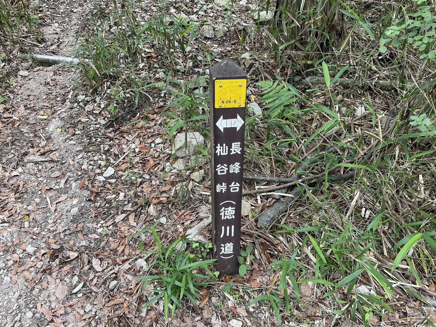 tsk-chaponさんの投稿したフィールドメモ | YAMAP / ヤマップ