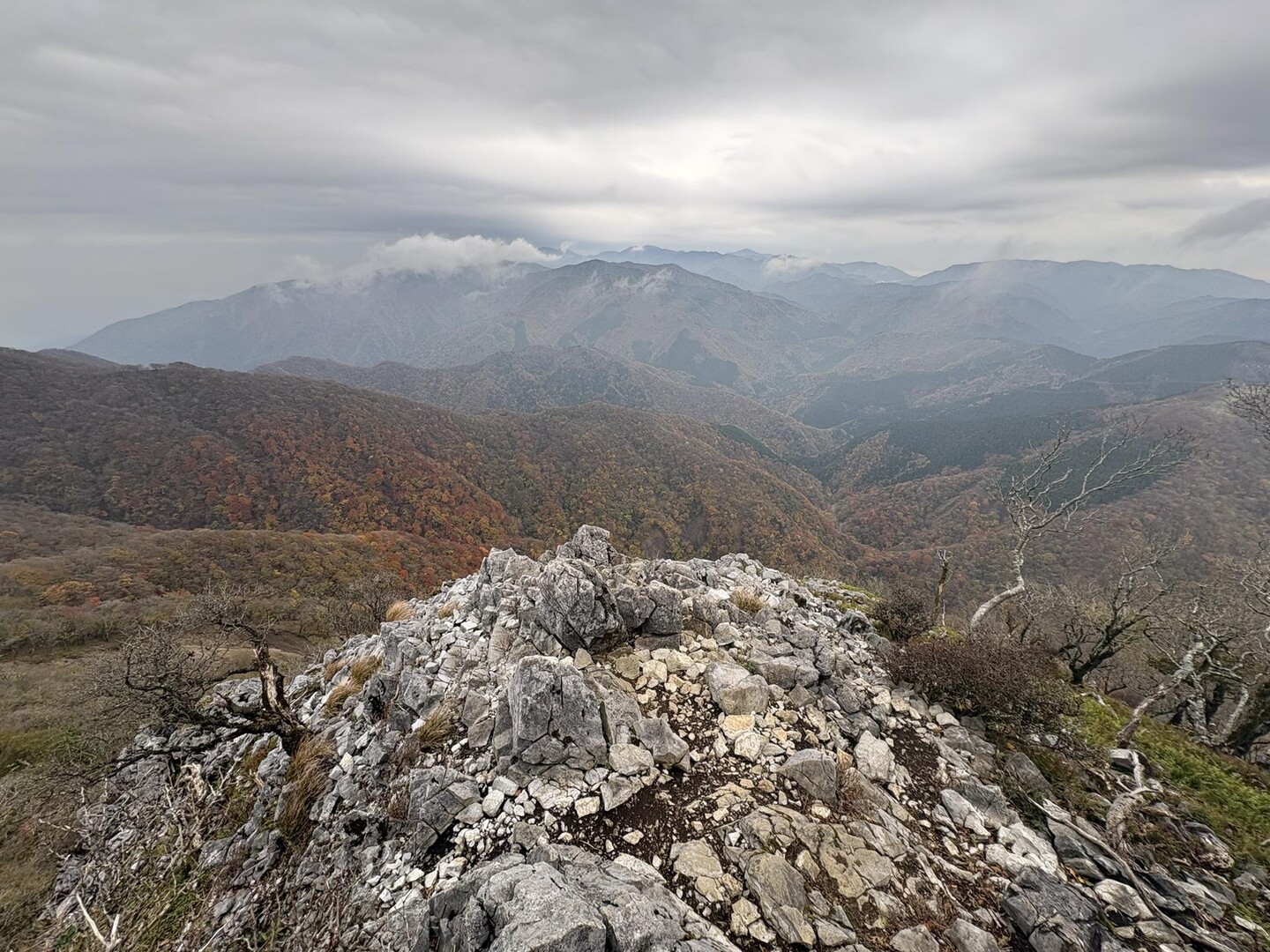 藤原岳・天狗岩-2024-11-16 / MUR-SRさんの藤原岳・御池岳の活動データ | YAMAP / ヤマップ
