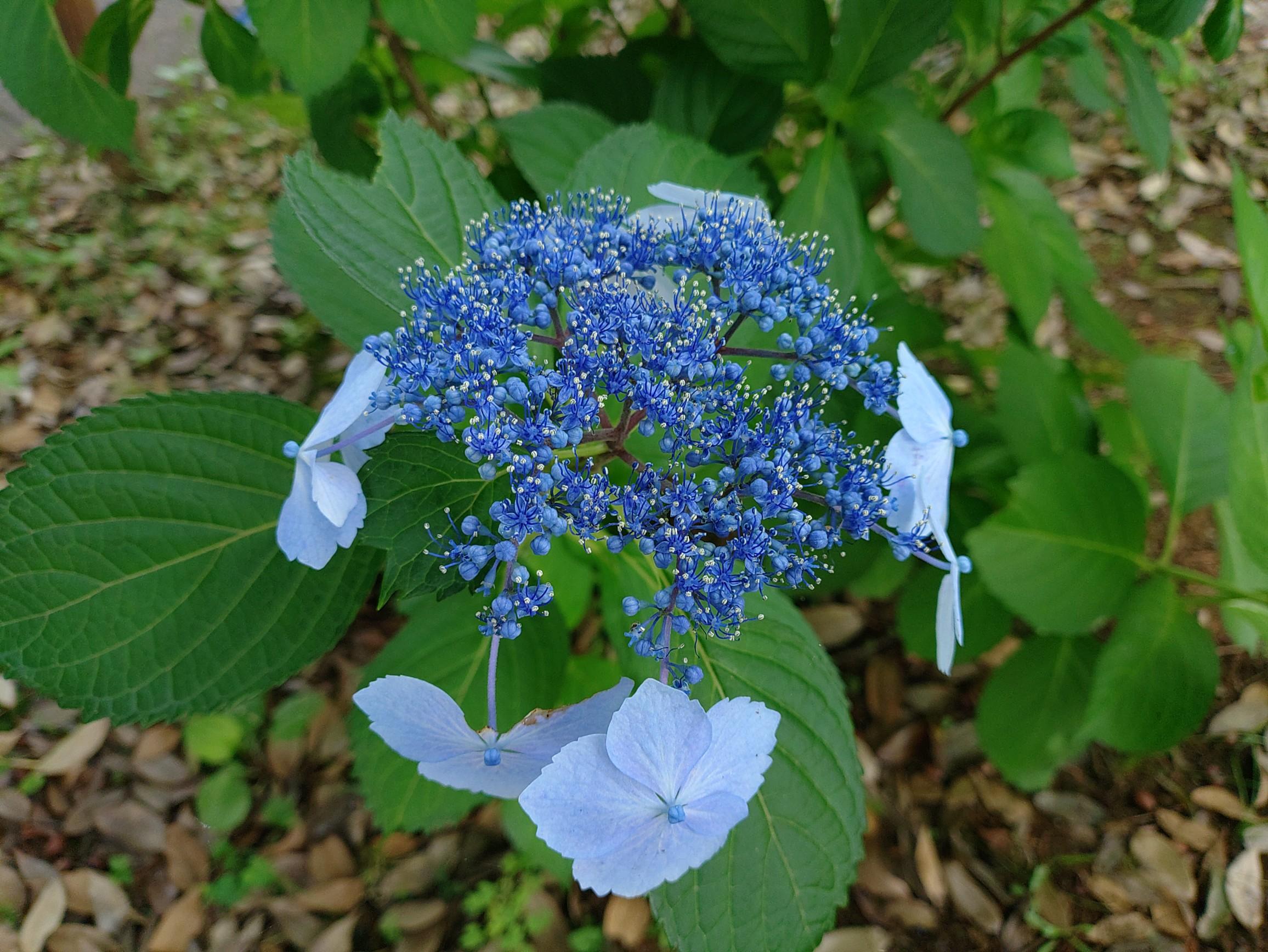 朝活ウォーキング-2025-06-14 / take.mk2さんのウォーキングの活動データ | YAMAP / ヤマップ