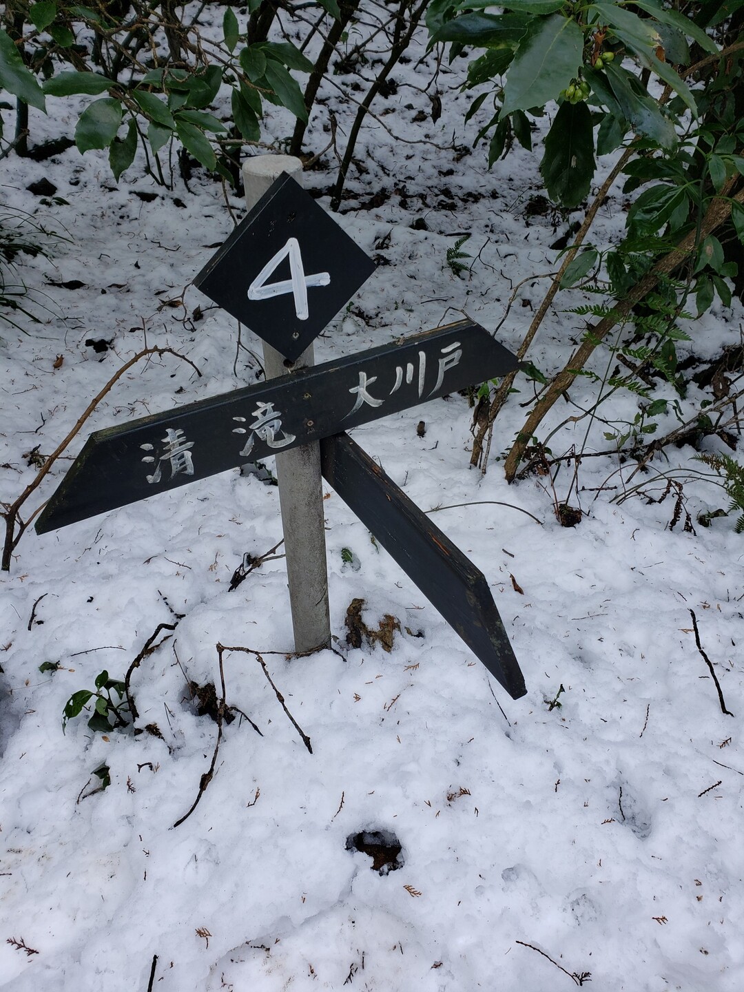雨巻山・三登谷山 / c.m.kさんの雨巻山・足尾山・三登谷山・高舘山の活動データ | YAMAP / ヤマップ