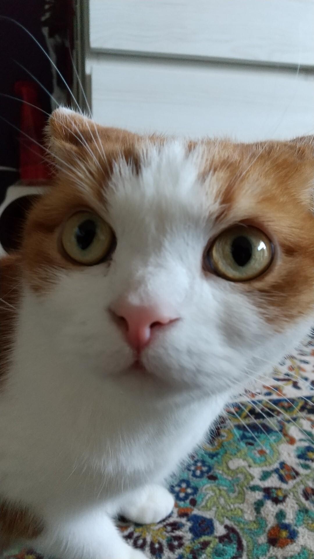 バイクツーリングの季節になりました🎵 / N-CMPさんのモーメント | YAMAP / ヤマップ