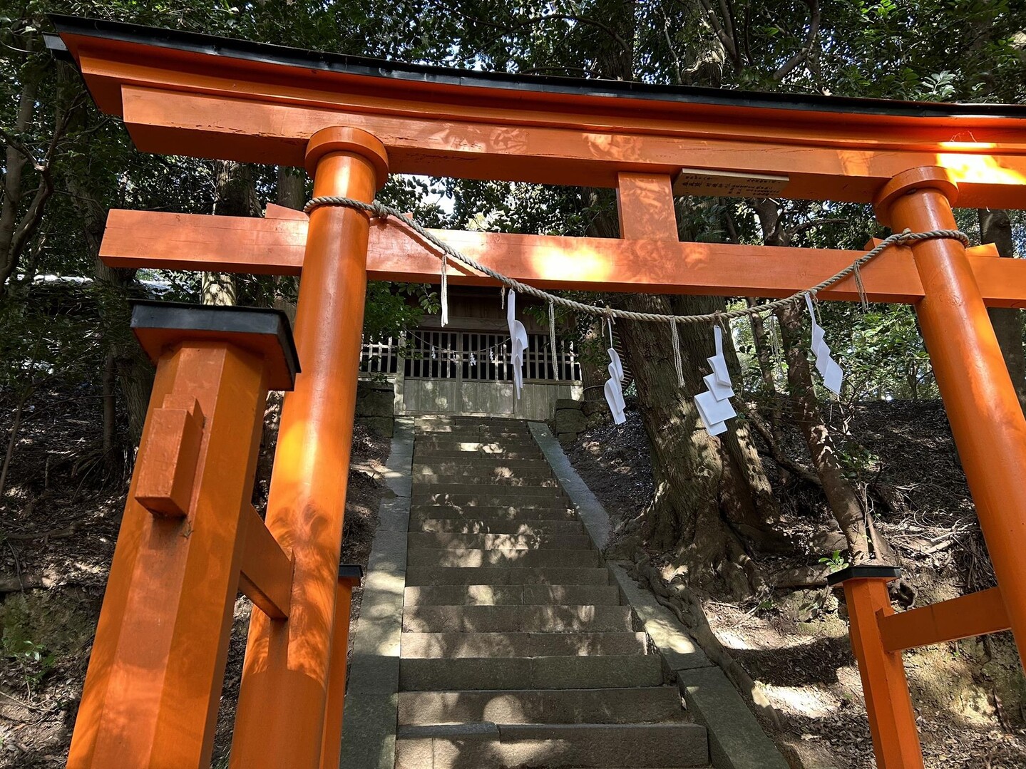 今年初の村積山 / akkoさんの村積山の活動データ | YAMAP / ヤマップ