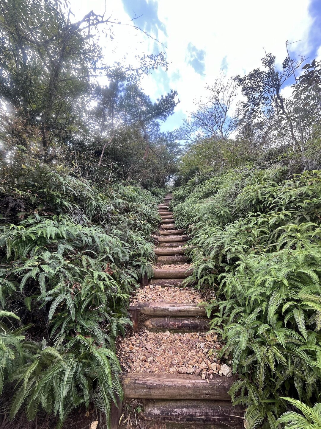 R6.11.4 鳩吹山🏔️→ 継鹿尾山🏔️☀️ / おぼっちゃまくんさんの鳩吹山の活動データ | YAMAP / ヤマップ